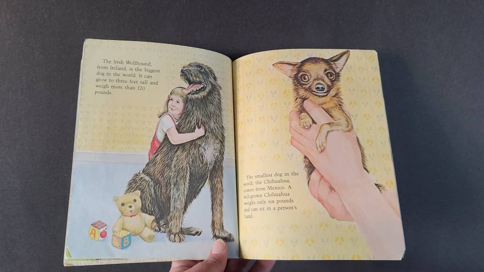 Dogs A Little Golden Book - Etsy