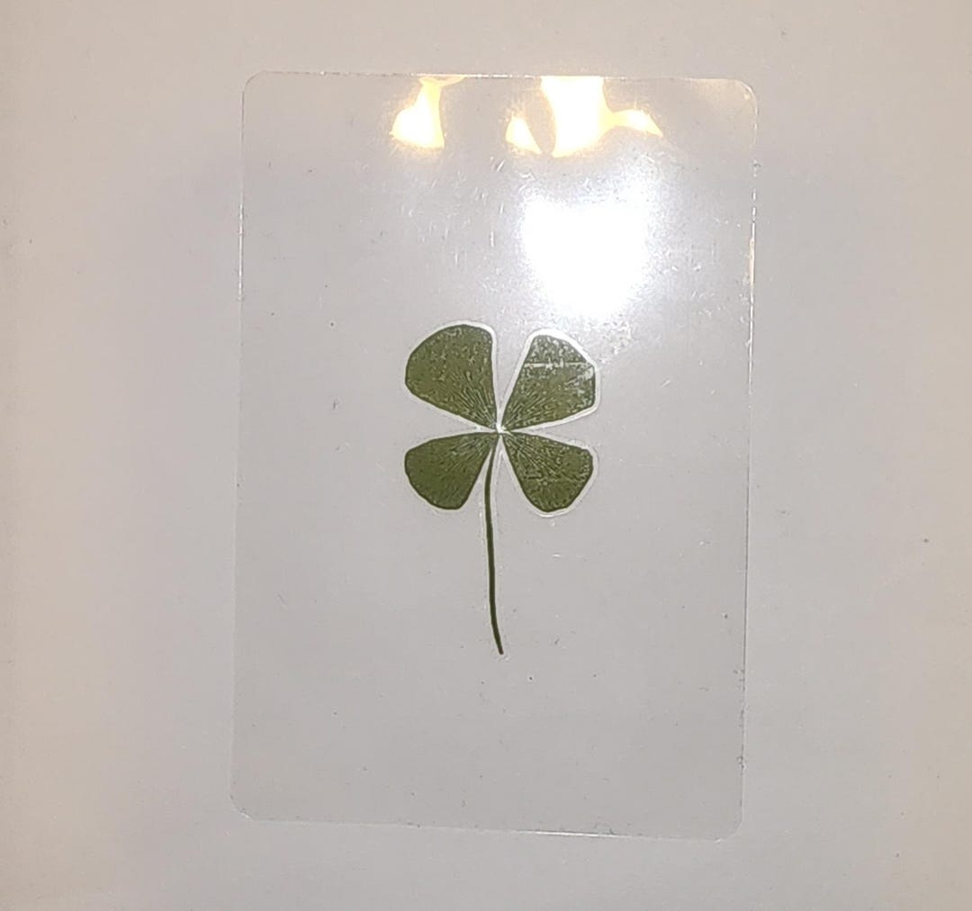 Laminated Four Leaf Clover – Real Pressed & Dried for Luck | Pocket ...