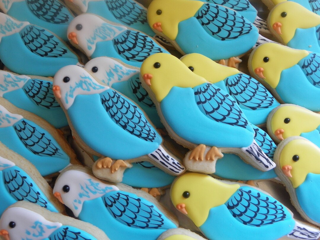Parakeet Cookies, Bird Cookies - Etsy