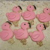 Parakeet Cookies, Bird Cookies - Etsy