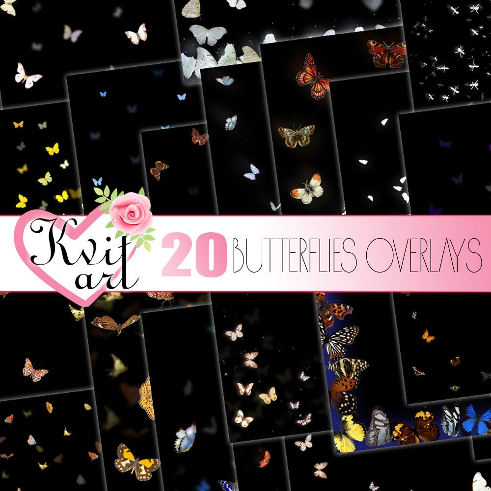 Butterflies Overlays. Set of 20 PNG. Moth Clipart Confetti. | Etsy