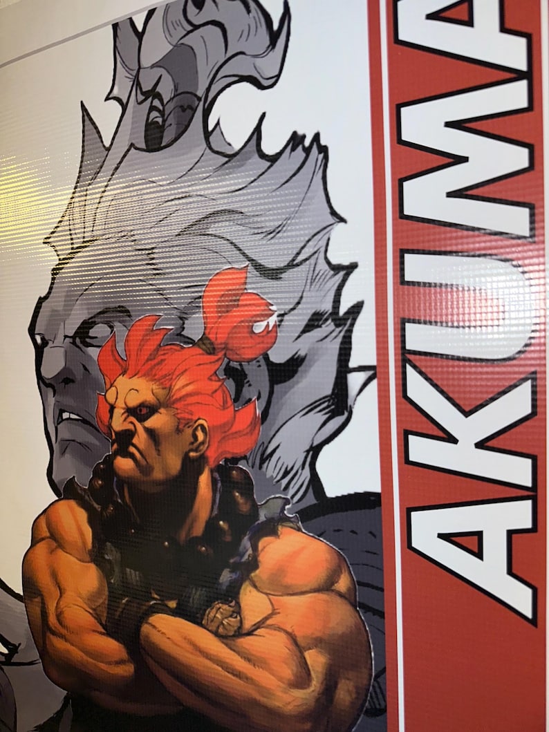 Street Fighter 3 Third Strike Chun Li Banner 20x50 - Etsy