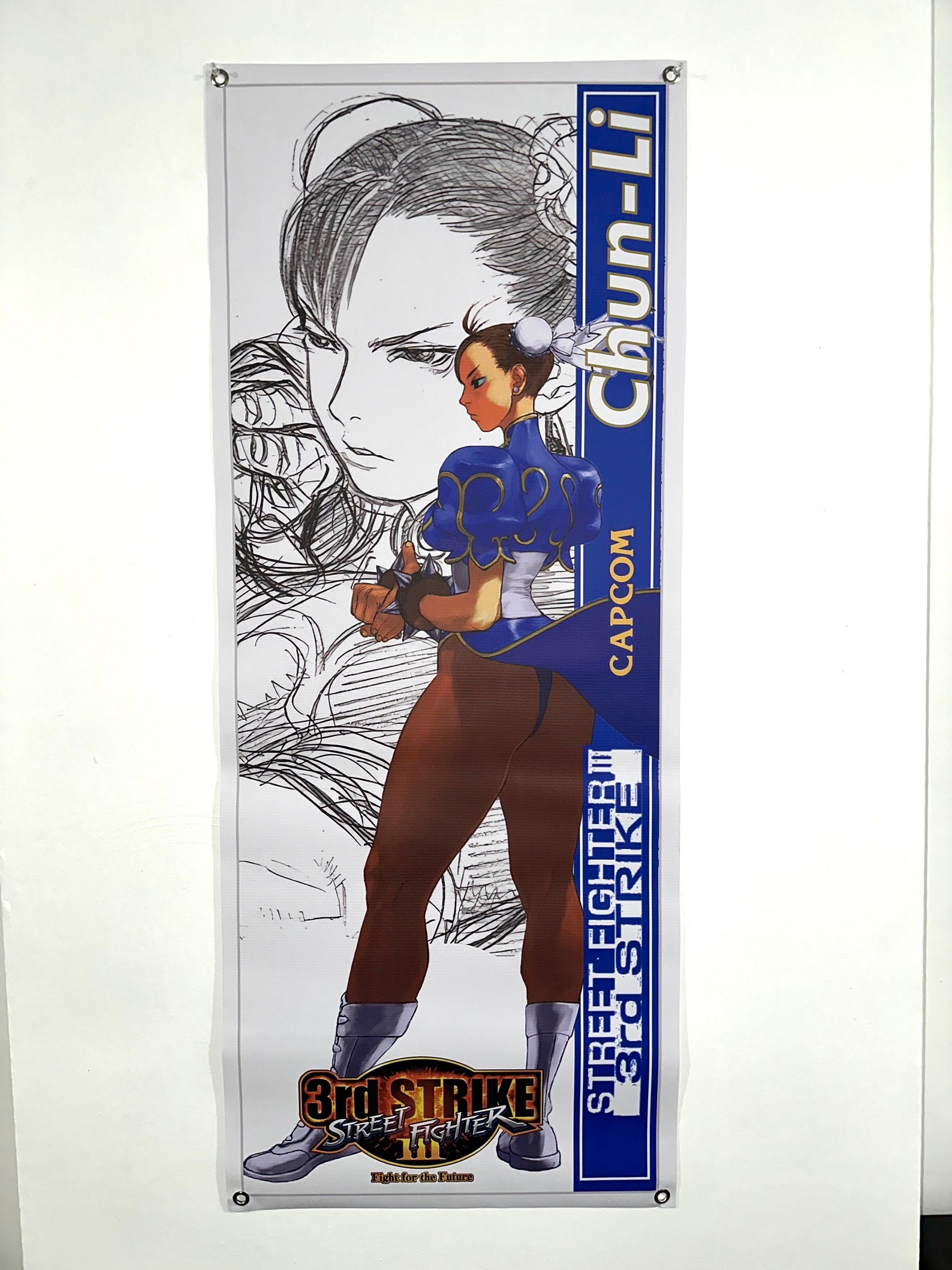 Street Fighter 3 Third Strike Chun Li Banner 20x50” - Etsy