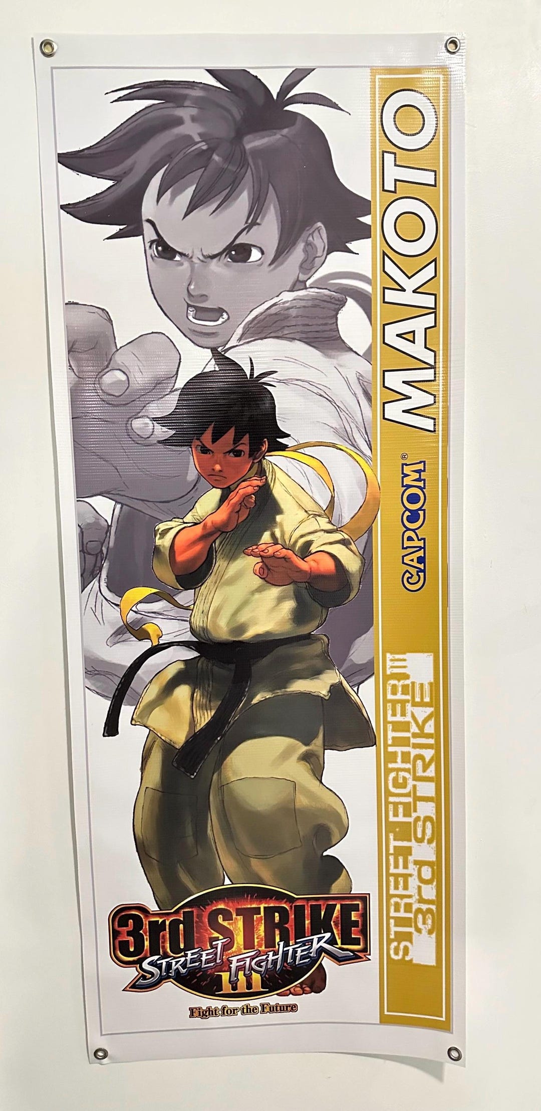 Street Fighter 3 Third Strike Makoto Banner 20x50” - Etsy
