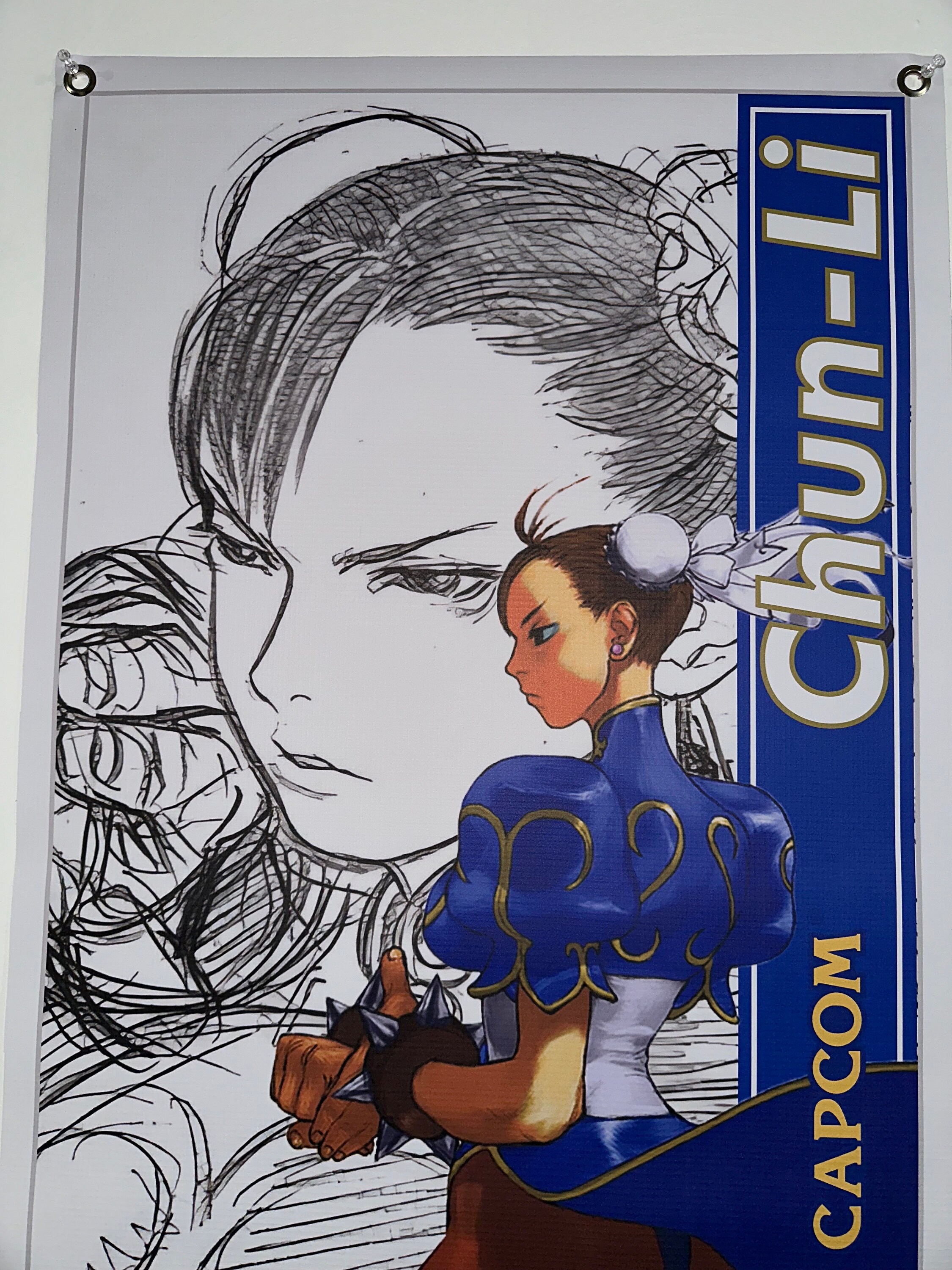Street Fighter 3 Third Strike Chun Li Banner 20x50” - Etsy