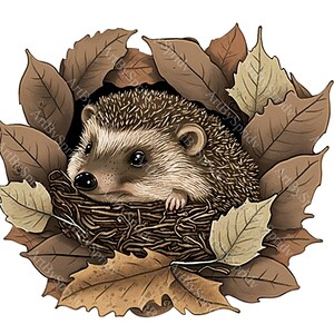 Autumn Hedgehog Clipart With Leaves and Nest | Cozy Woodland Animal PNG ...