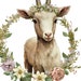 Floral Goat Clipart Transparent PNG, Rustic Farm Animal Illustration ...