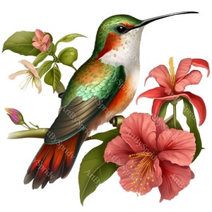 Hummingbird With A Flower Clipart,transparent Animal Lover Print Kids ...