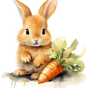 Watercolor Bunny Clipart Set | 4 High-quality Transparent PNG Rabbit ...