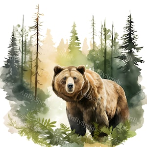 Watercolor Bear Clipart Png-forest Digital Download,hand-painted ...