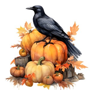 Autumn Crow on Pumpkins PNG Clipart, Halloween Fall Harvest Digital ...