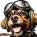 Adorable Dog With Pilot Cap & Goggles Transparent PNG Clipart, T-shirt ...