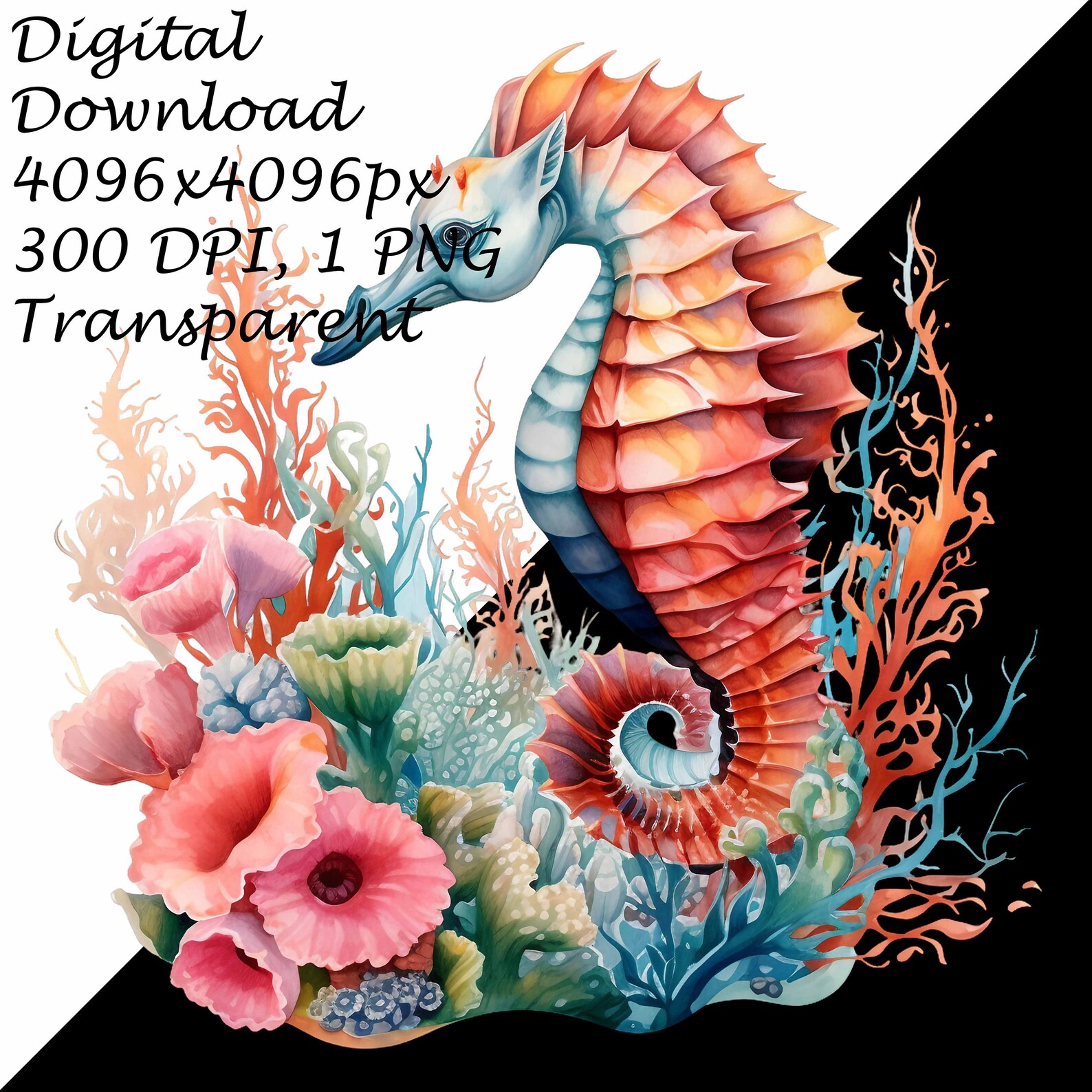 Vibrant Seahorse Clipart Set,underwater Marine Life Png,ocean Coral ...