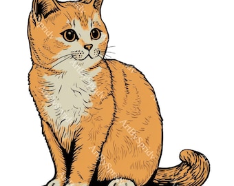Orange Cat Clipart Cute