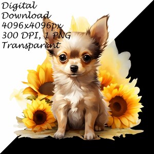 Watercolor Chihuahua Puppy Dog Near Sunflowers - Transparent 4 PNG ...