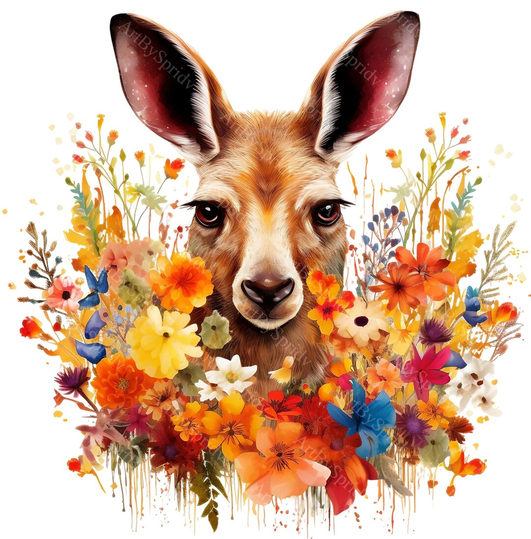 4-piece Kangaroo Clipart Set-wildflower Digital Art-australian Wildlife ...
