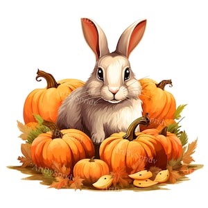 Rabbit in Pumpkin Patch PNG Clipart, Fall Harvest Bunny Autumn ...