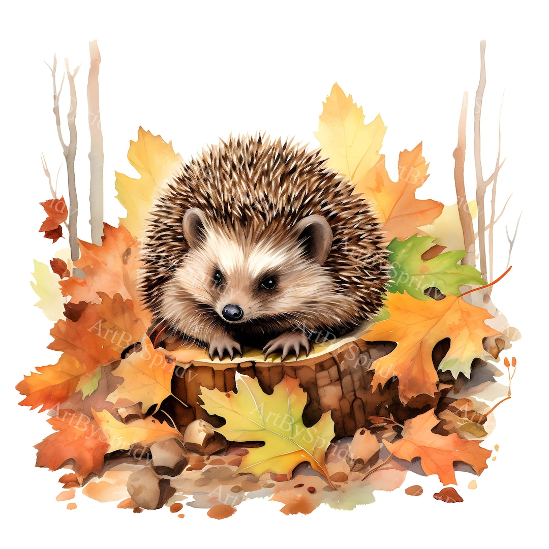 Hedgehog Nestled in Autumn Leaves PNG Clipart, Woodland Animal ...