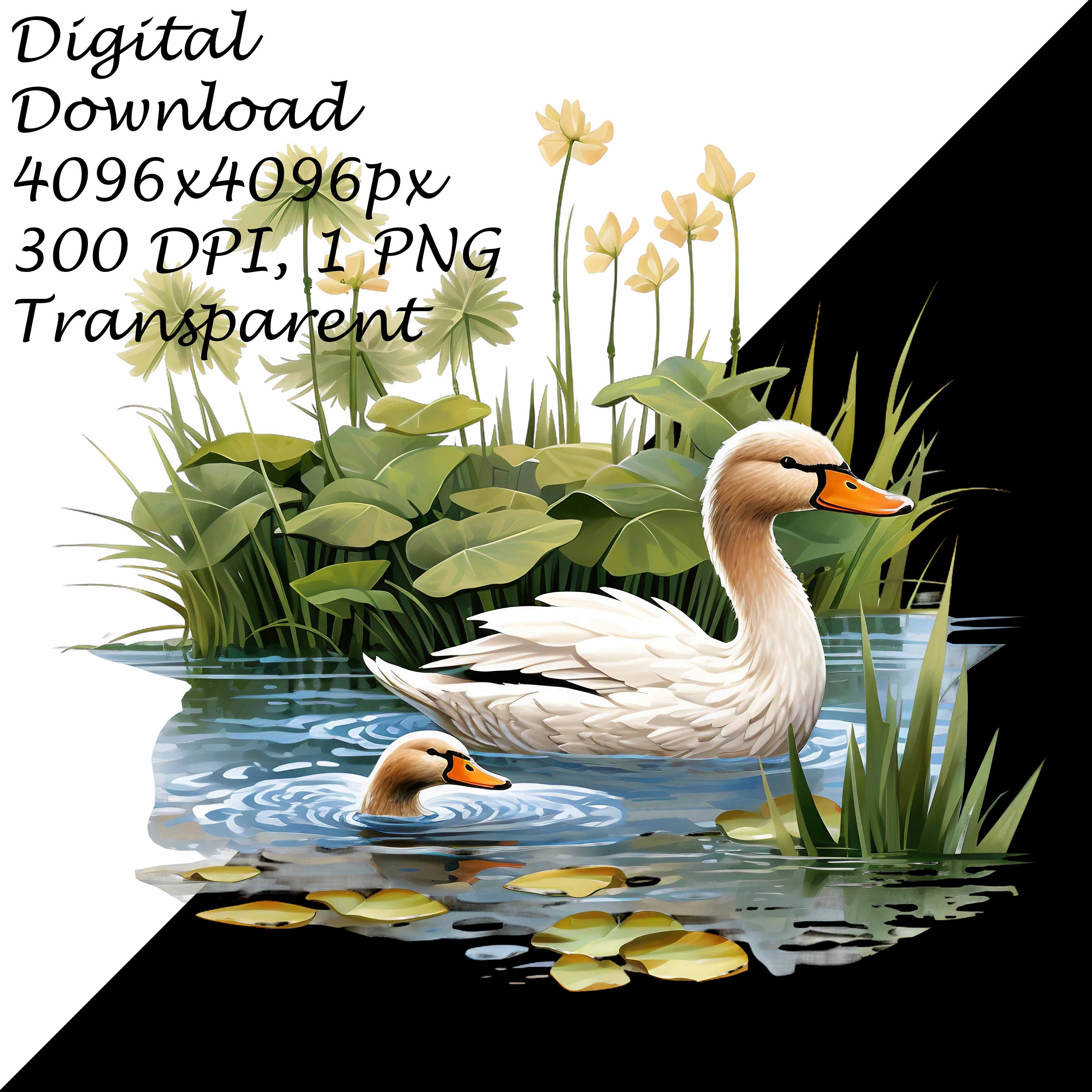 Serene Duck Pond PNG Clipart Bundle | Water Lily and Duck Transparent ...