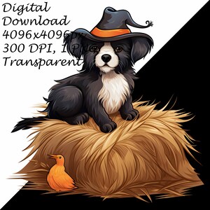 Adorable Dog in Witch Hat Sitting on Haystack With Bird Halloween PNG ...