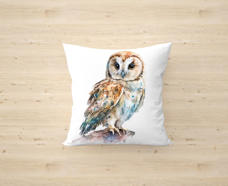 Watercolor Owl PNG Transparent Clipart Kids Cartoon - Etsy