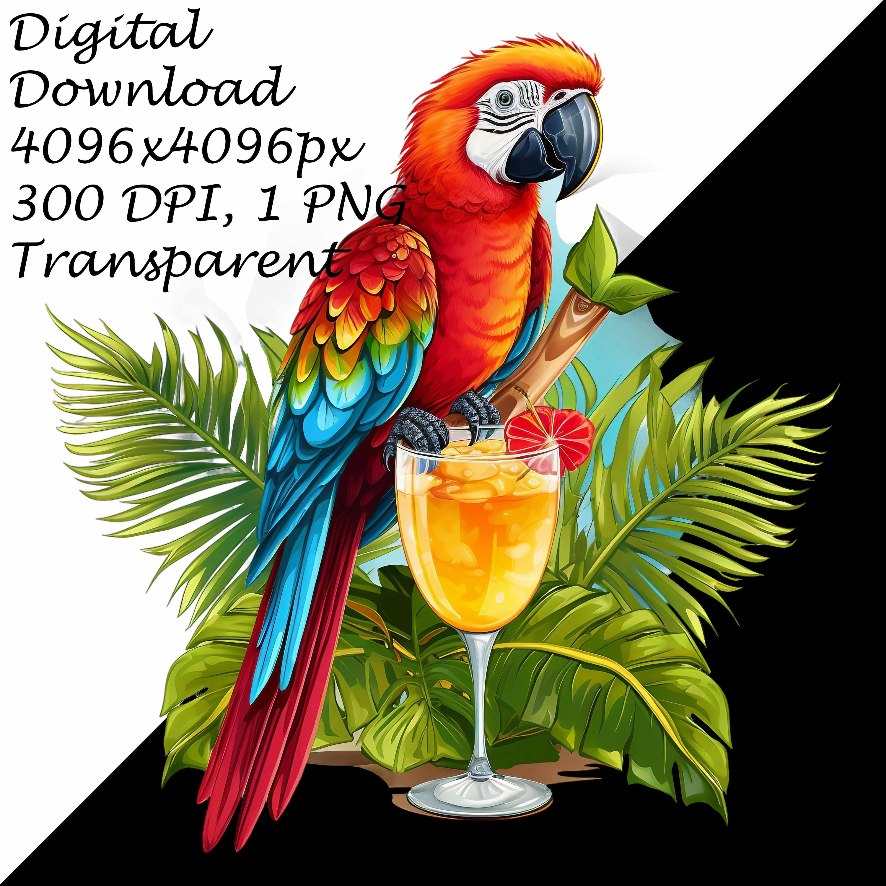 4 Pack Parrot Perched Near Tropical Cocktail Glass Transparent PNG ...