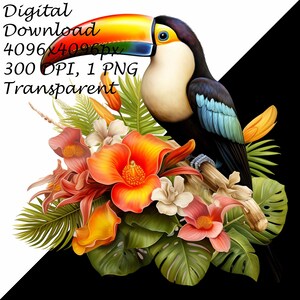 Exotic Toucan Tropical Clipart Set – 4 PNG Files – Vibrant Flowers ...