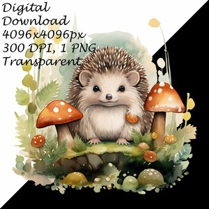 Cute Hedgehog PNG Clipart-woodland Animal Illustration,forest Creatures ...