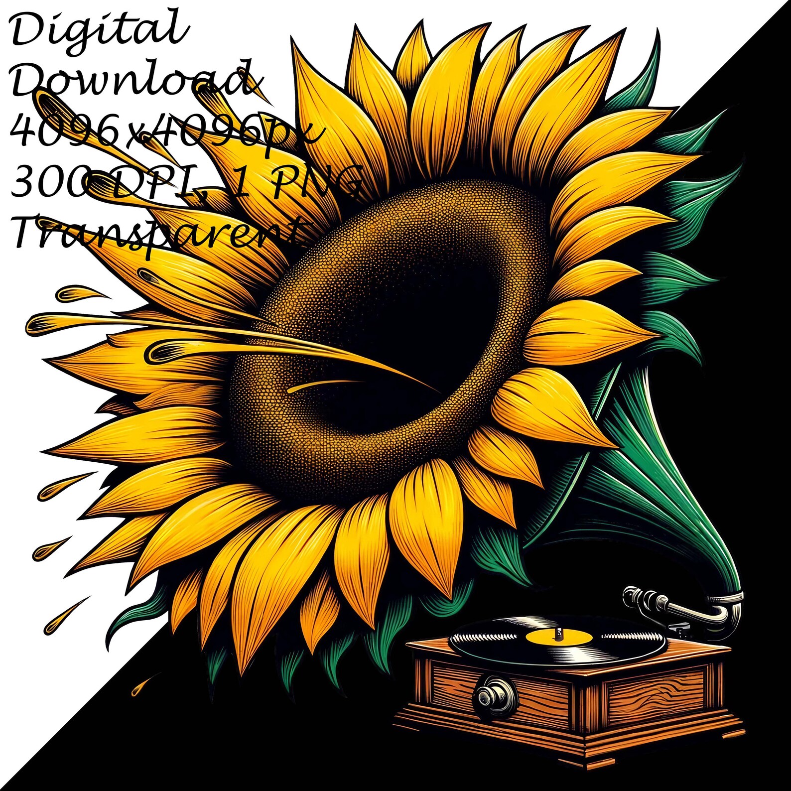Vintage Gramophone Sunflower Clipart | Retro Music Player Floral PNG ...