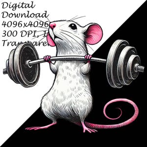 Funny Mouse Weightlifting Clipart, Gym Rat Illustration PNG, Quirky ...