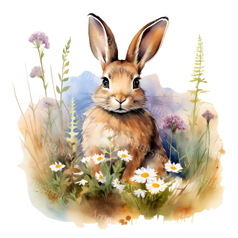 Rabbit Watercolor - Etsy