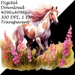 Watercolor Horse & Floral PNG Clipart Pack, Elegant Equine for ...