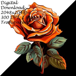 Hand-drawn Orange Rose PNG Clipart With Green Leaves, Transparent ...
