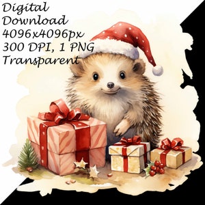 4-PCS Christmas Hedgehog Clipart Bundle PNG, Hedgehogs in Santa Hats ...