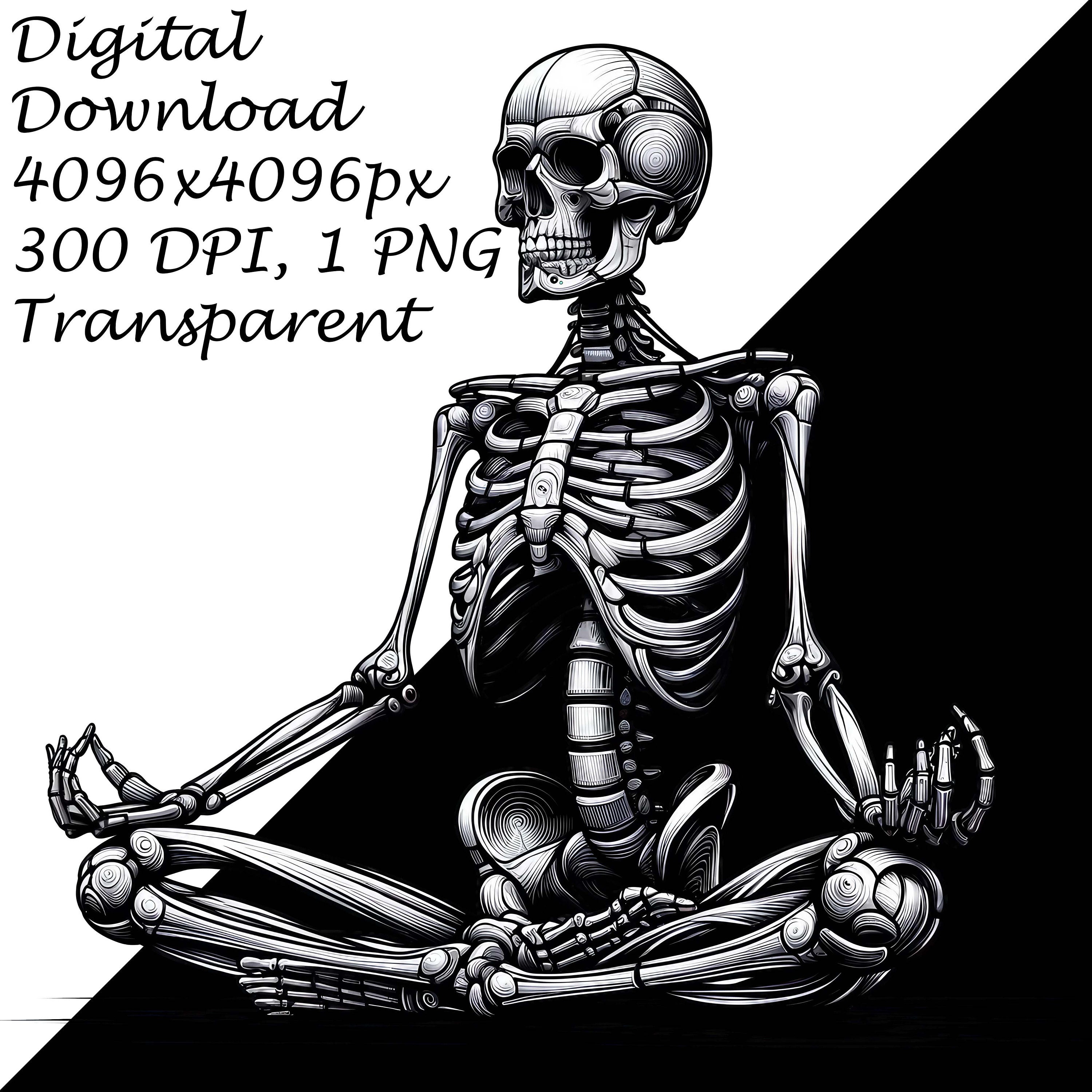 Disegno Gamba Scheletro Immagini Di Anatomia Del Piede | Scarica