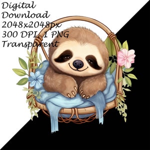 Adorable Baby Sloth Digital Clipart for Sublimation, Cute Sloth in ...