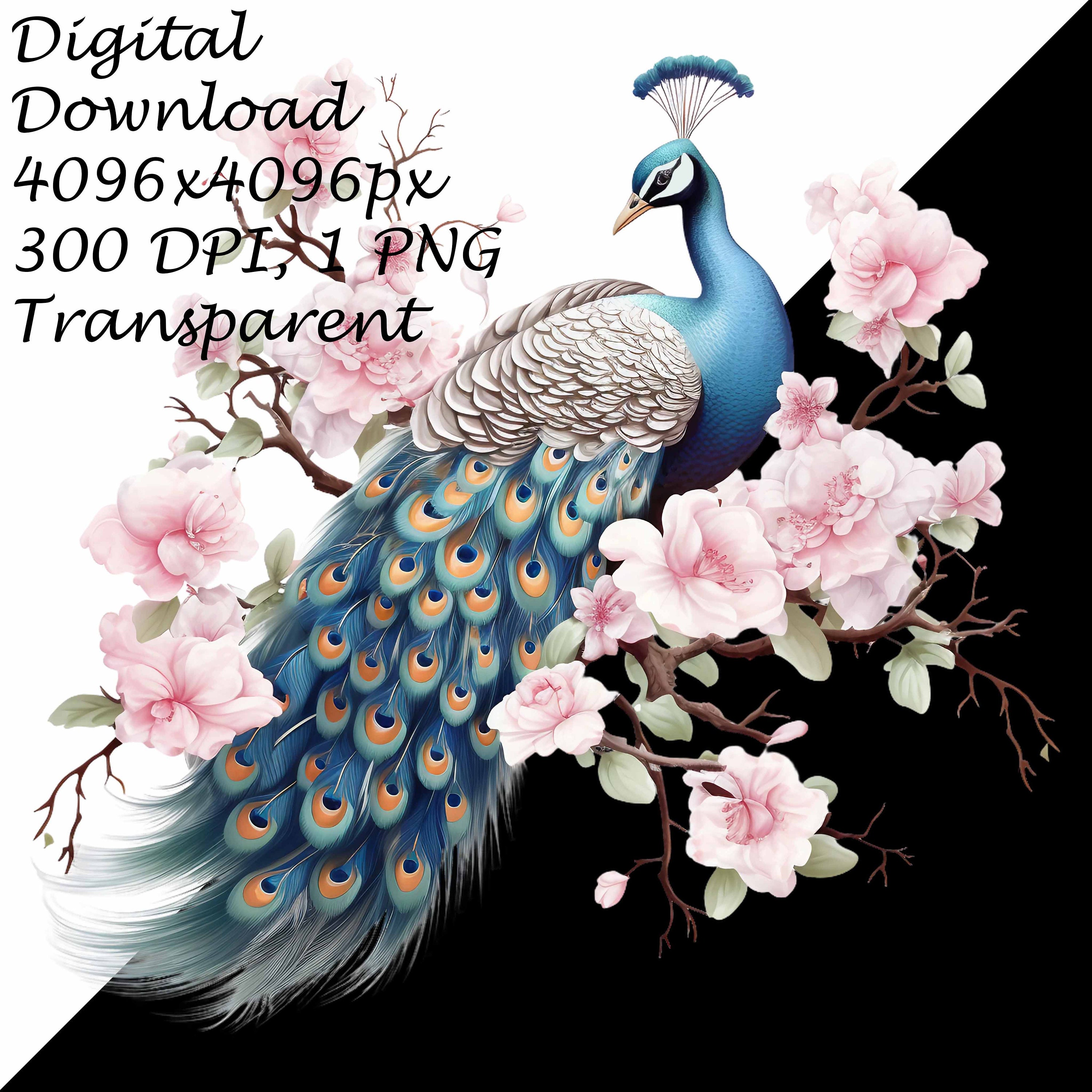 Elegant Peacock & Floral Cliparts | Printable Sublimation PNG | Digital ...