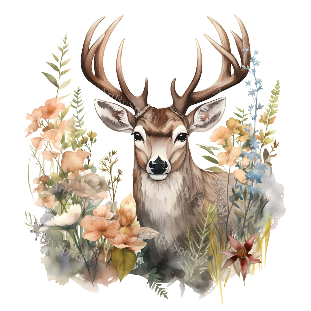 Watercolor Deer With Antlers & Wildflowers Transparent PNG Clipart ...