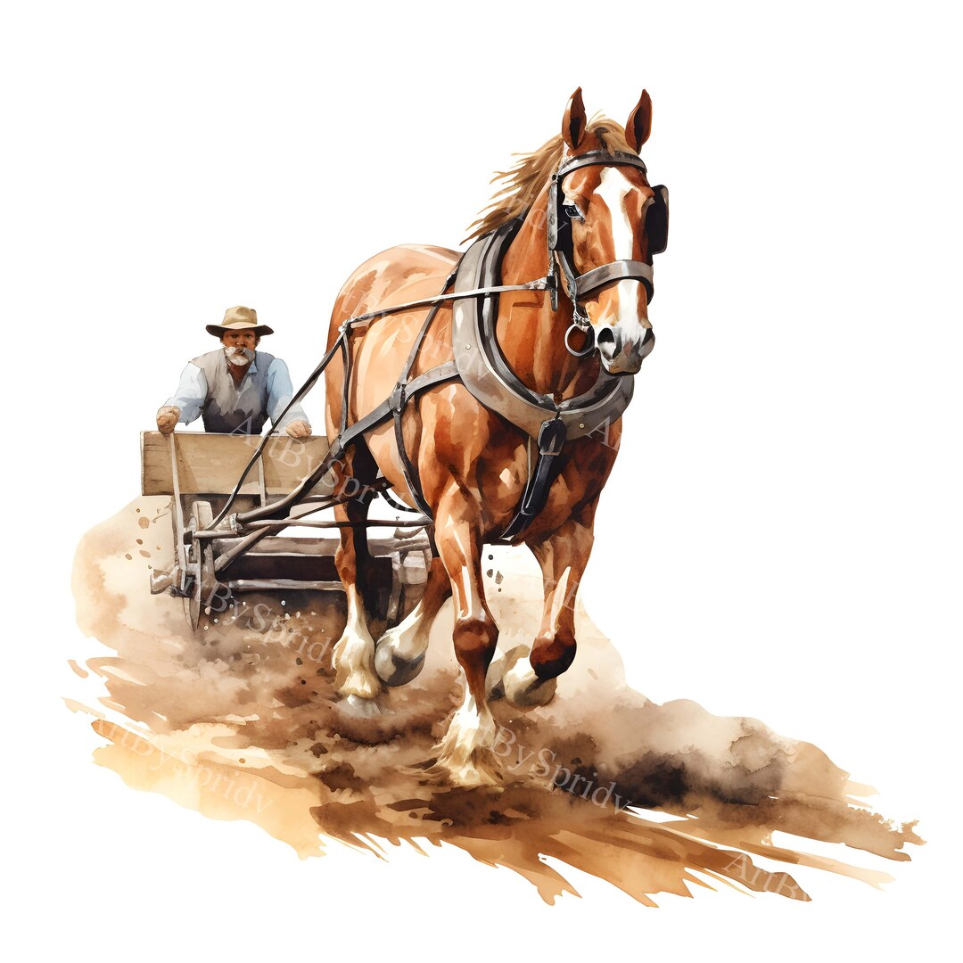 Rustic Draft Horse Clipart - Farm Animal Watercolor Transparent PNG for ...