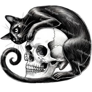 Black Cat & Skull Clipart PNG, Gothic Cat Illustration, Transparent ...