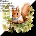 Autumn Forest Friends Clipart 4 PACK - Cute Squirrel & Seasonal Leaves ...