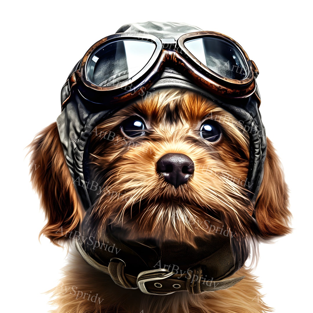 Adorable Pilot Dog Clipart – Transparent PNG for Aviation-themed Clip ...