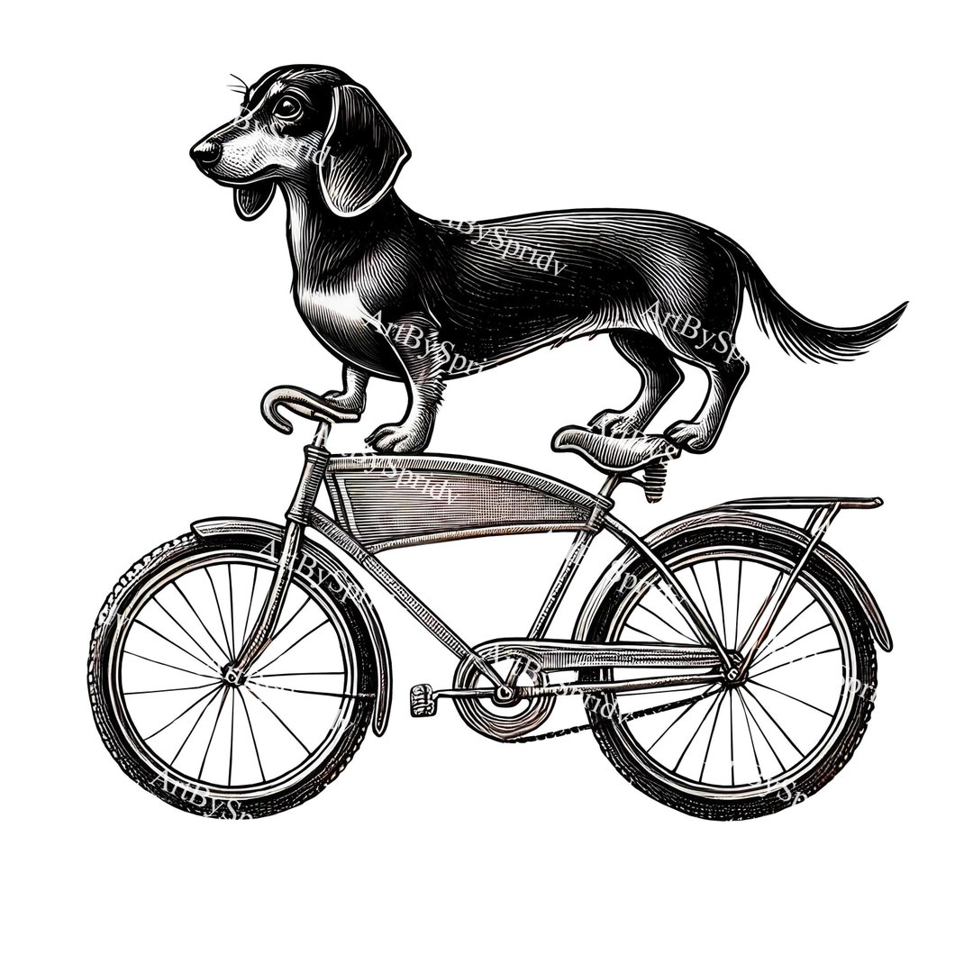 Vintage Dog Clipart Transparent PNG | Dachshund Standing on Bicycle ...