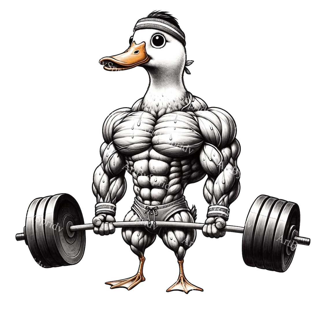 Muscular Duck Clipart, Weightlifting Cartoon Duck PNG, Bodybuilder Duck ...