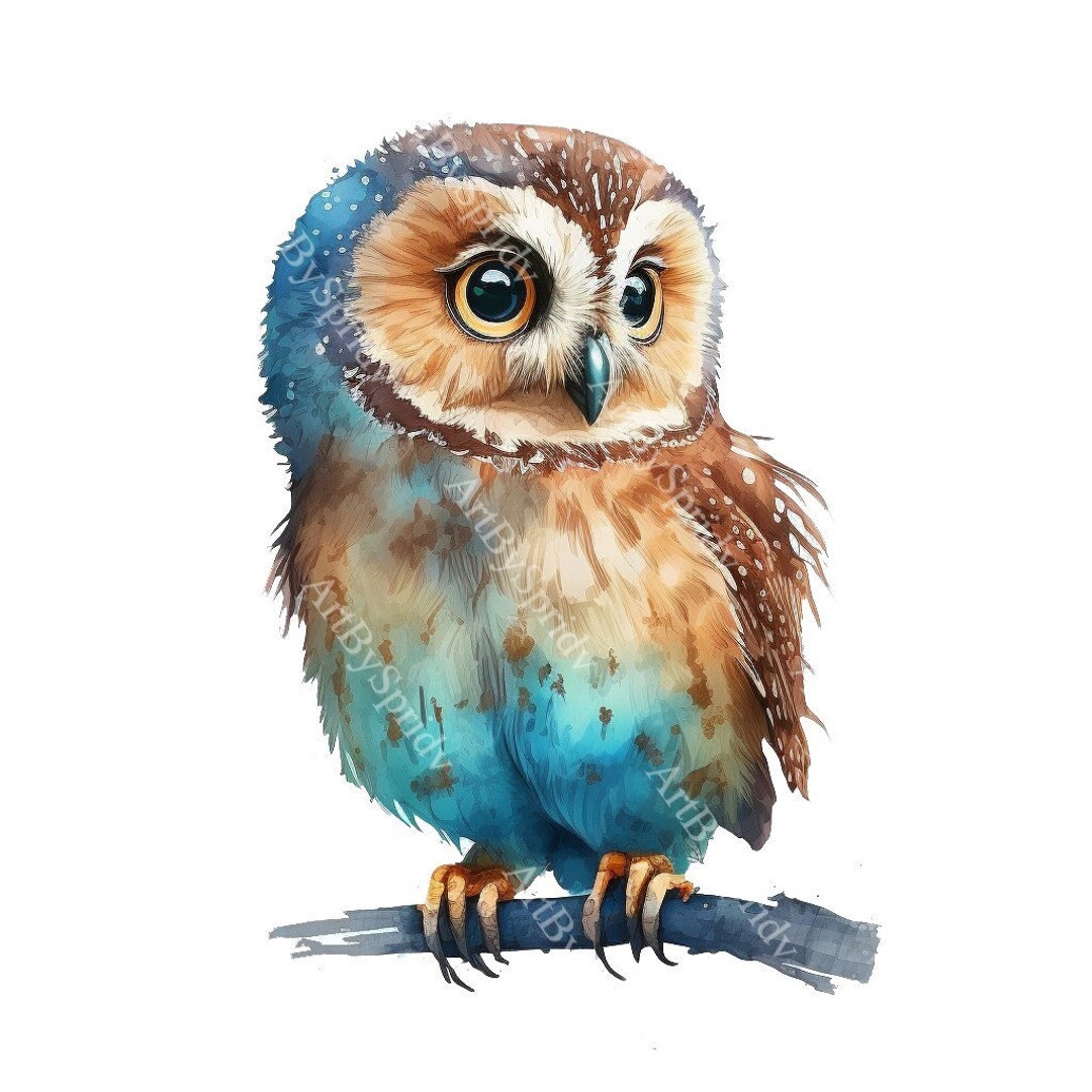 Watercolor Owl PNG Transparent Clipart Kids Cartoon Design,printable ...
