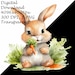 Watercolor Bunny Clipart Set | 4 High-quality Transparent PNG Rabbit ...
