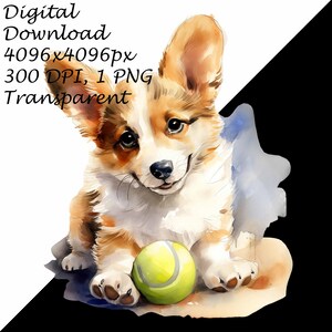 Cute Watercolor Corgi Puppy Dog With Tennis Ball - Transparent 4 PNG ...