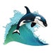Orca Splash Water Wave PNG Clipart,transparent Animal Floral Print Kids ...