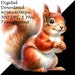 Watercolor Squirrel Clipart Dynamic Pose Printable PNG for - Etsy