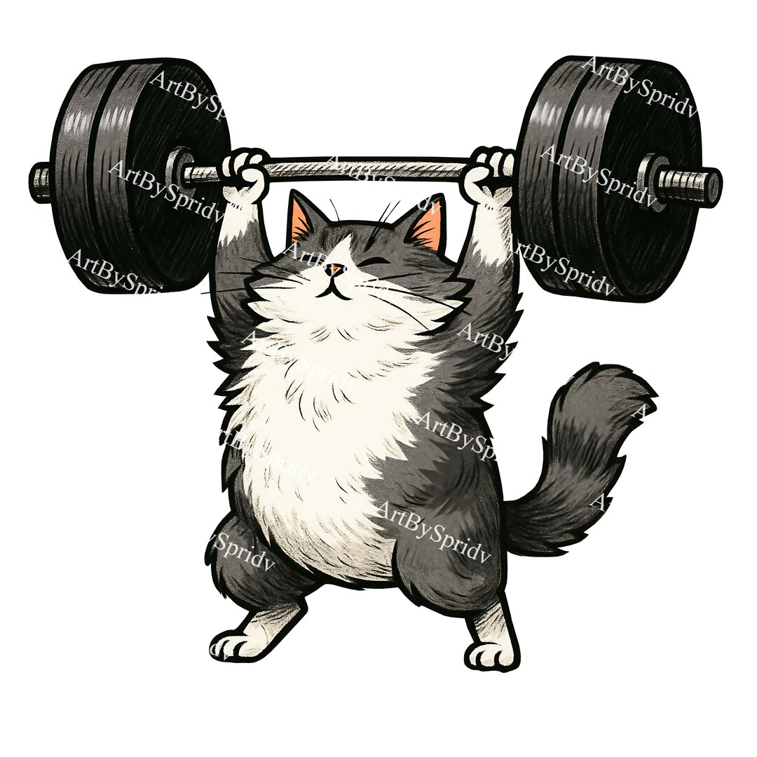 Funny Weightlifting Cat PNG | Cute Strong Cat Transparent Clipart for T ...